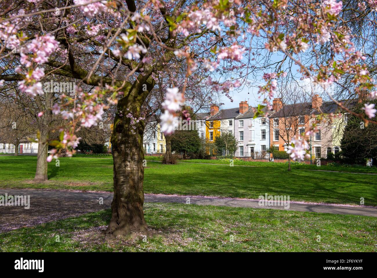 Spring blossom at Victoria Park in Sneinton Nottingham, Nottinghamshire ...