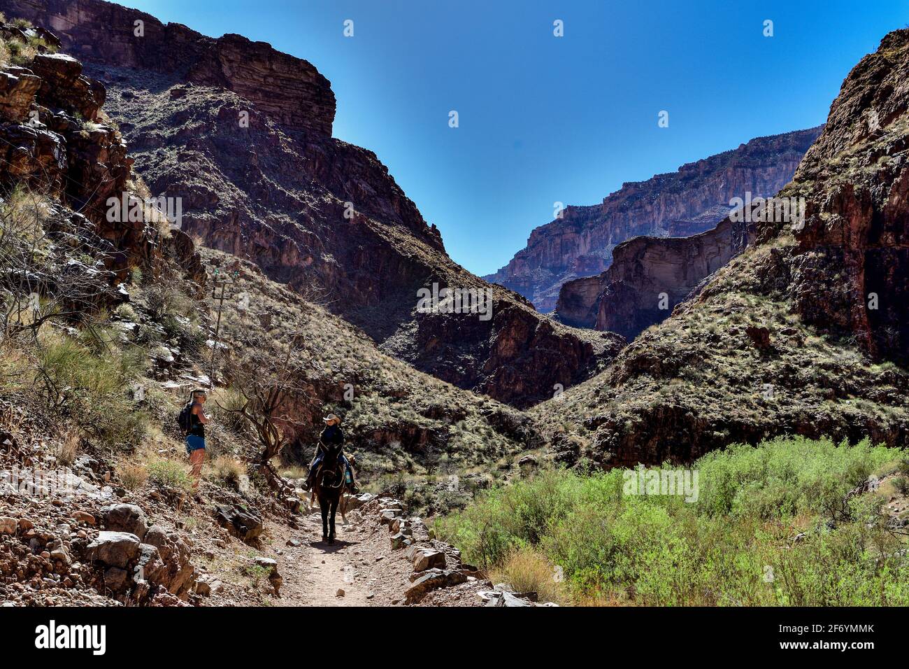Usa grand canyon bright angel hi-res stock photography and images - Alamy