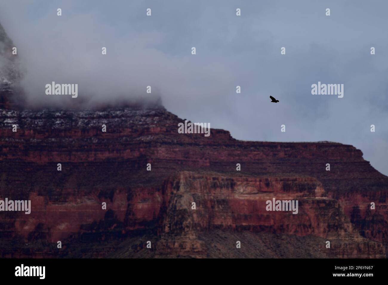 Storm over the grand canyon hi-res stock photography and images - Alamy