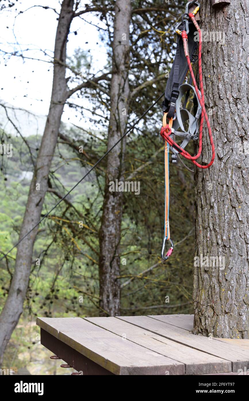 wooden base in the trunk of the tree, installation for canopy, forest ...