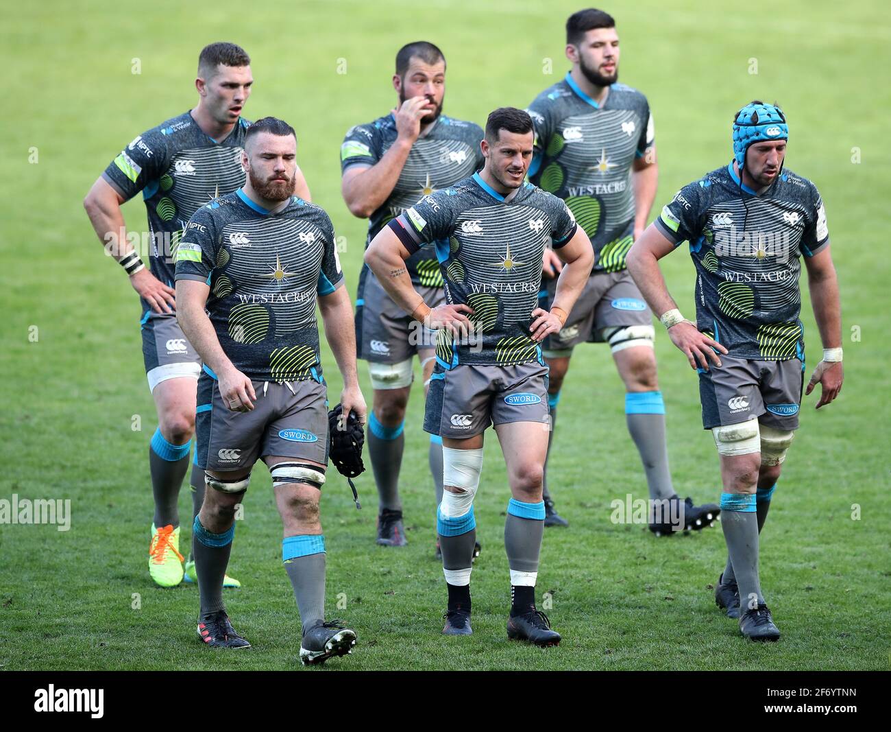 Morgan morris ospreys hi-res stock photography and images - Alamy