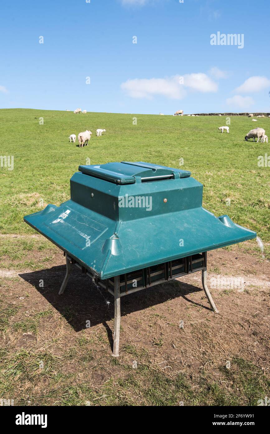 Polyethylene canopy to creep feeder hi-res stock photography and images ...