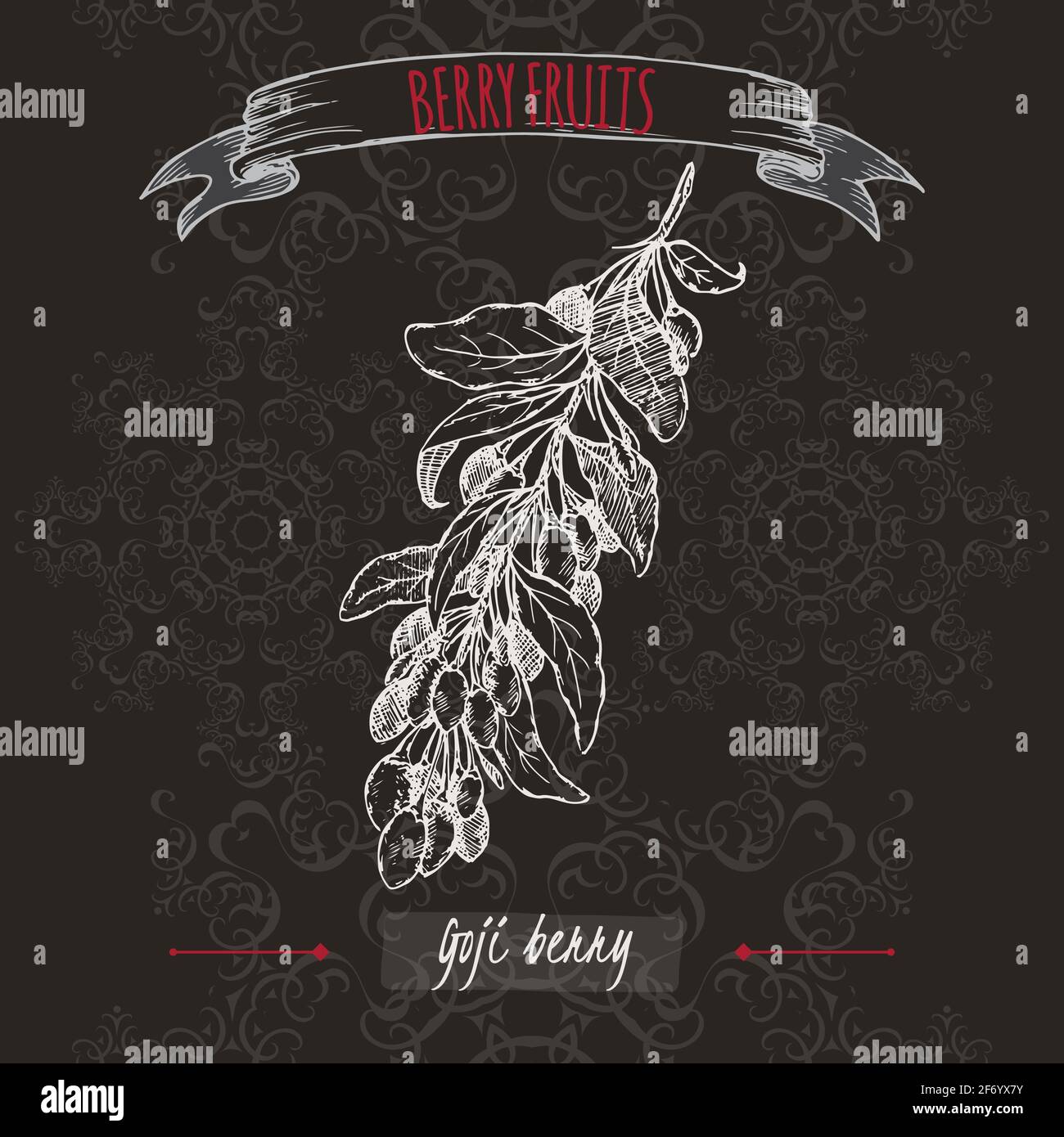 Lycium barbarum aka Goji berry branch sketch on black background. Berry ...