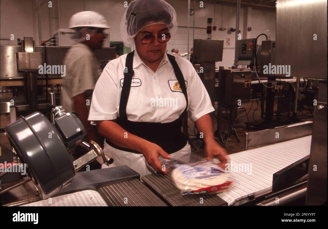 Female worker on tortilla production line at Hispanic-owned Mexican ...