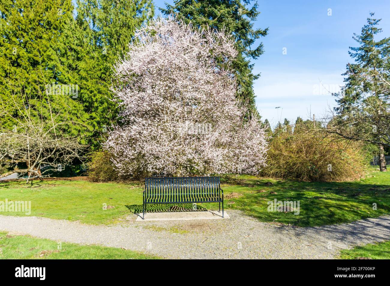 Seatac botanical garden hi-res stock photography and images - Alamy