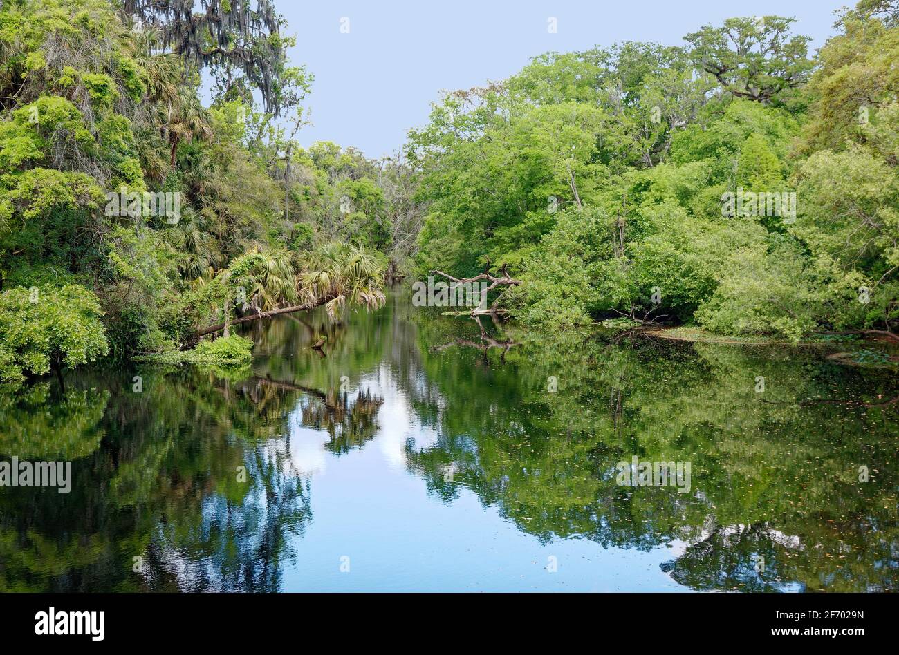 river scene, water, trees, vegetation, nature, tranquil, reflections ...