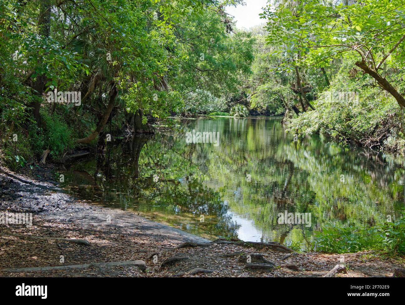 River scene with trees hi-res stock photography and images - Alamy