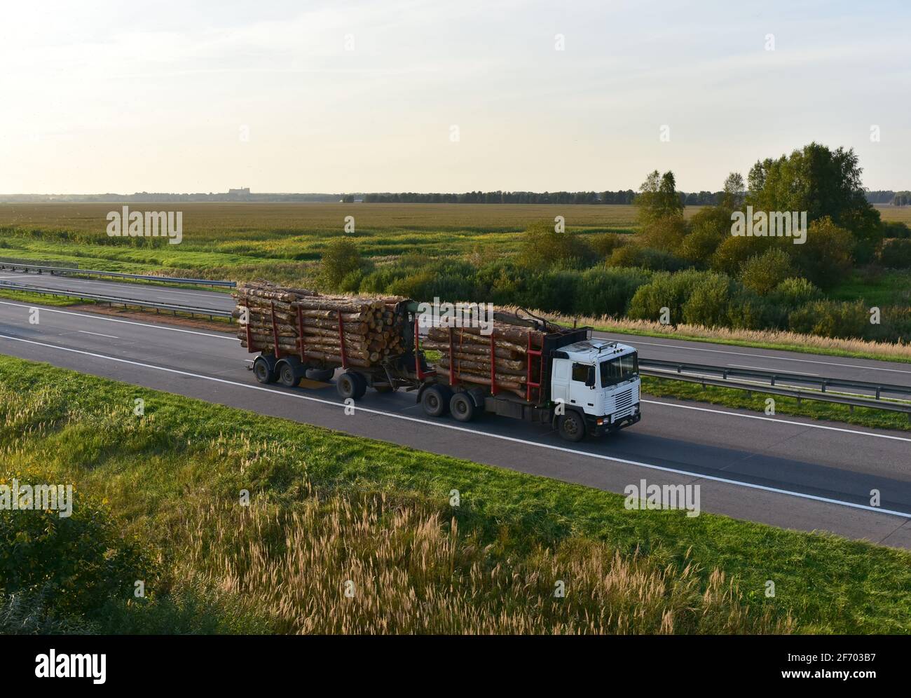 Timber truck transporting cut trees from forest along highway ...