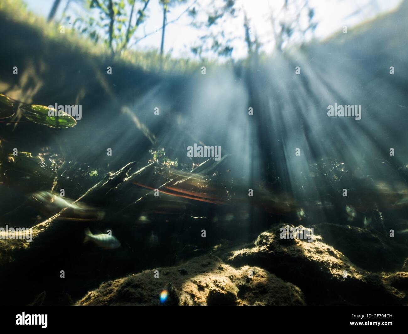 Long exposure underwater shot of sunrays at lake shore with exposure ...