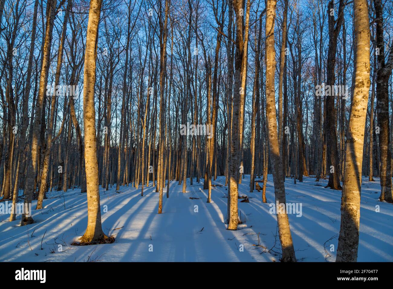 Cool chilly hi-res stock photography and images - Alamy