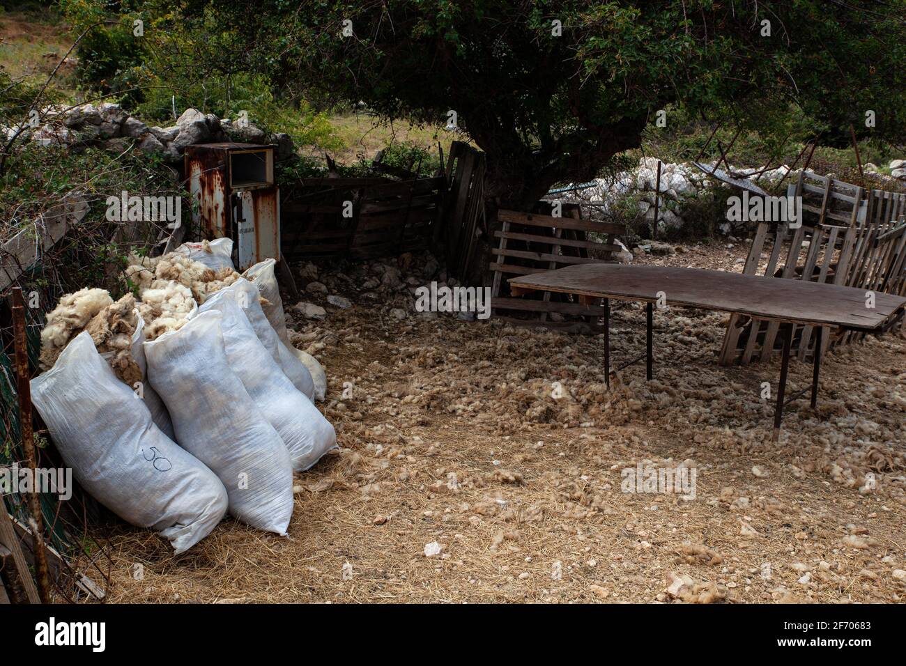 View of freshly sheared sheep's wool flakes in the bags Stock Photo - Alamy