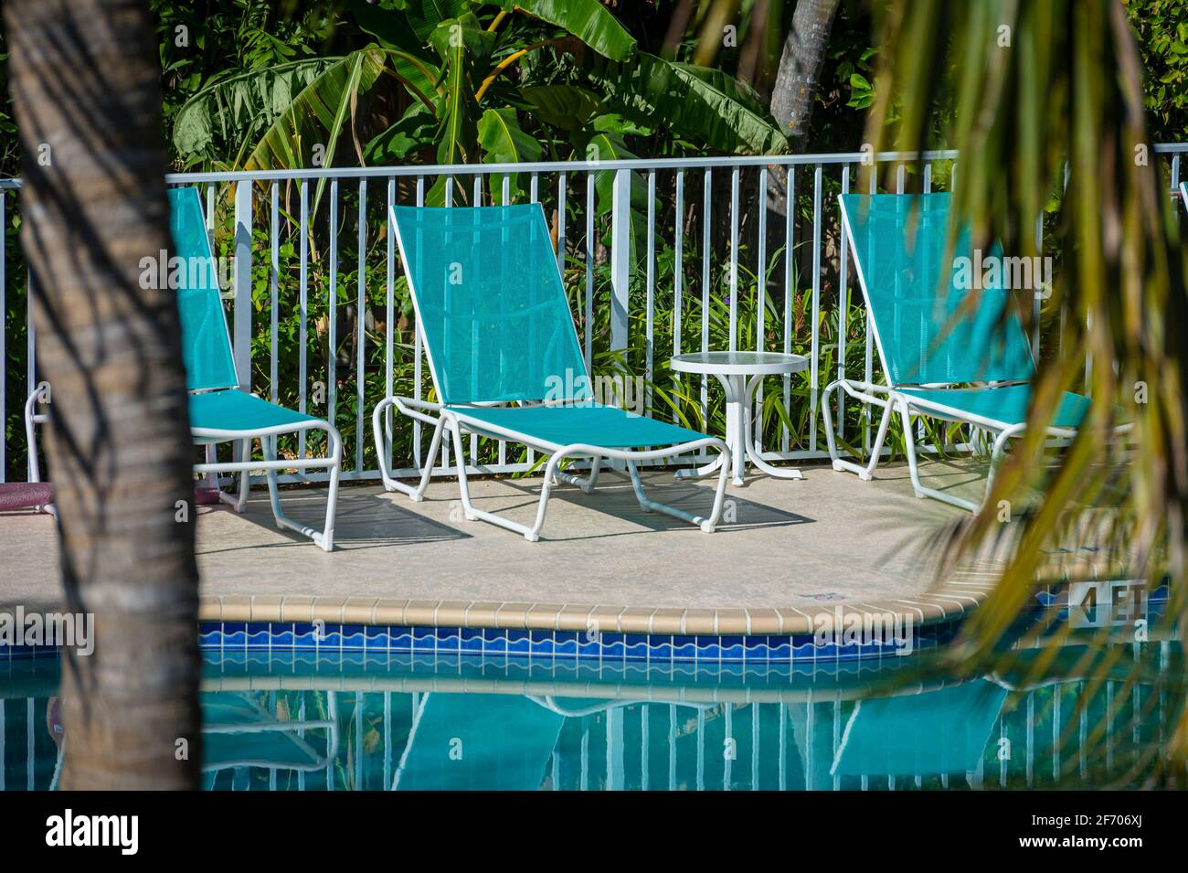 Poolside Chairs with palm trees, Key West Florida USA Stock Photo - Alamy