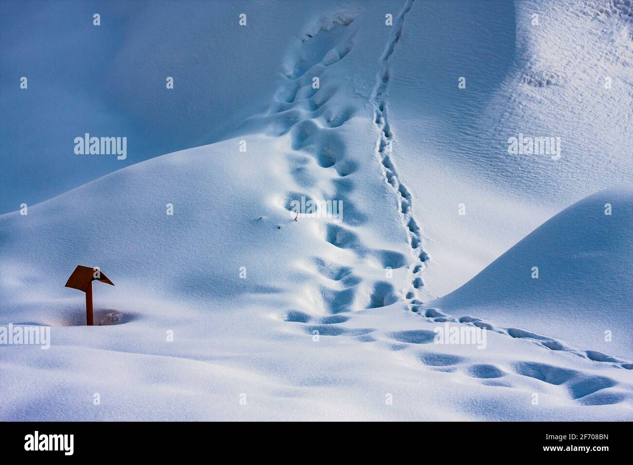 Frosty footsteps hi-res stock photography and images - Alamy