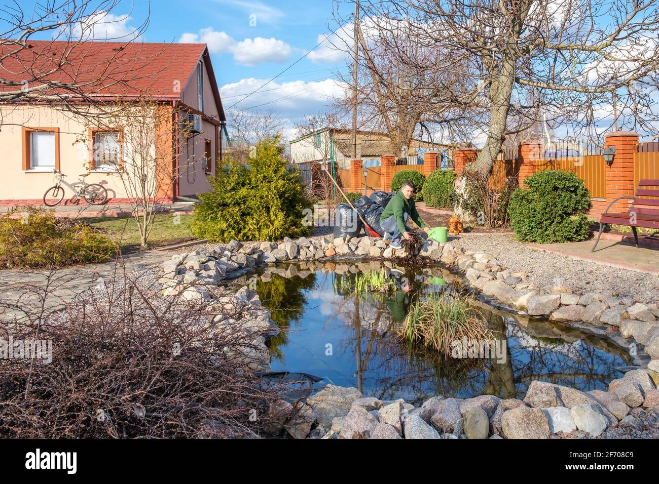 Man cleans kneeling fish pond with hands from water plants and falling ...