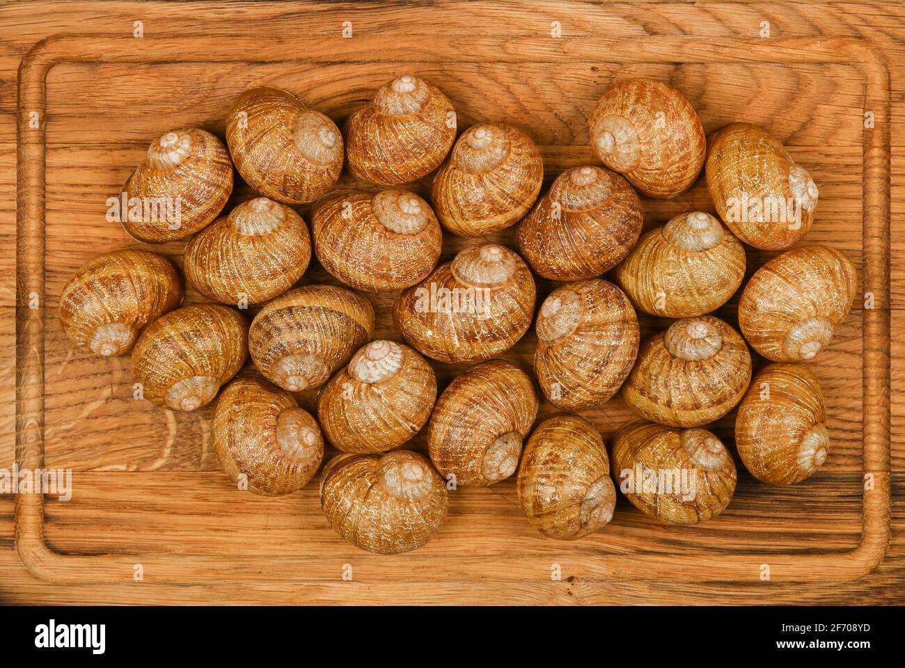 Close up two dozen of escargot land snail shells on brown oak wood ...