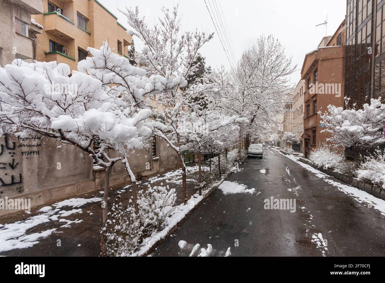 Iran Snow