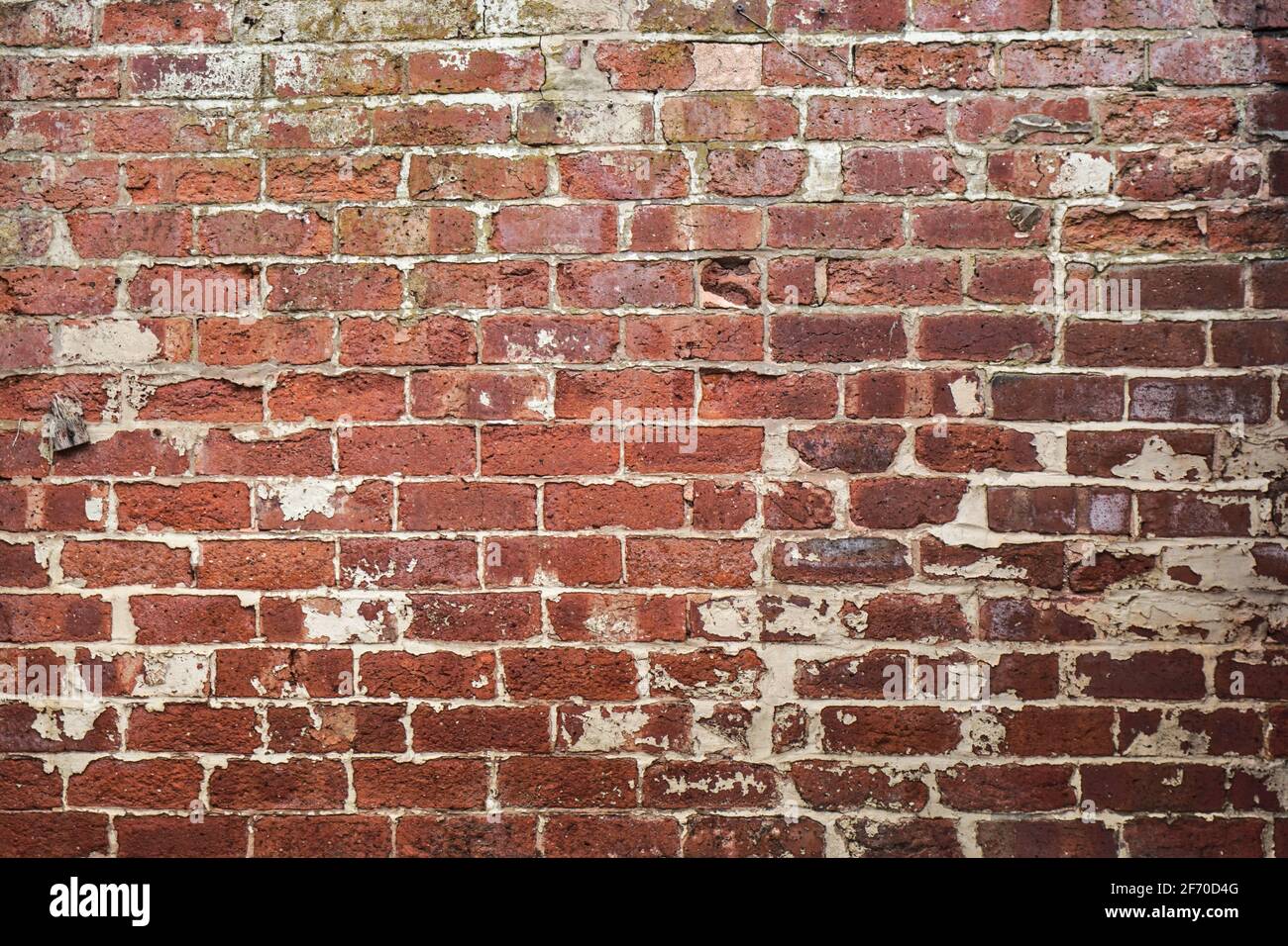 Traditional red brick wall texture hi-res stock photography and images ...