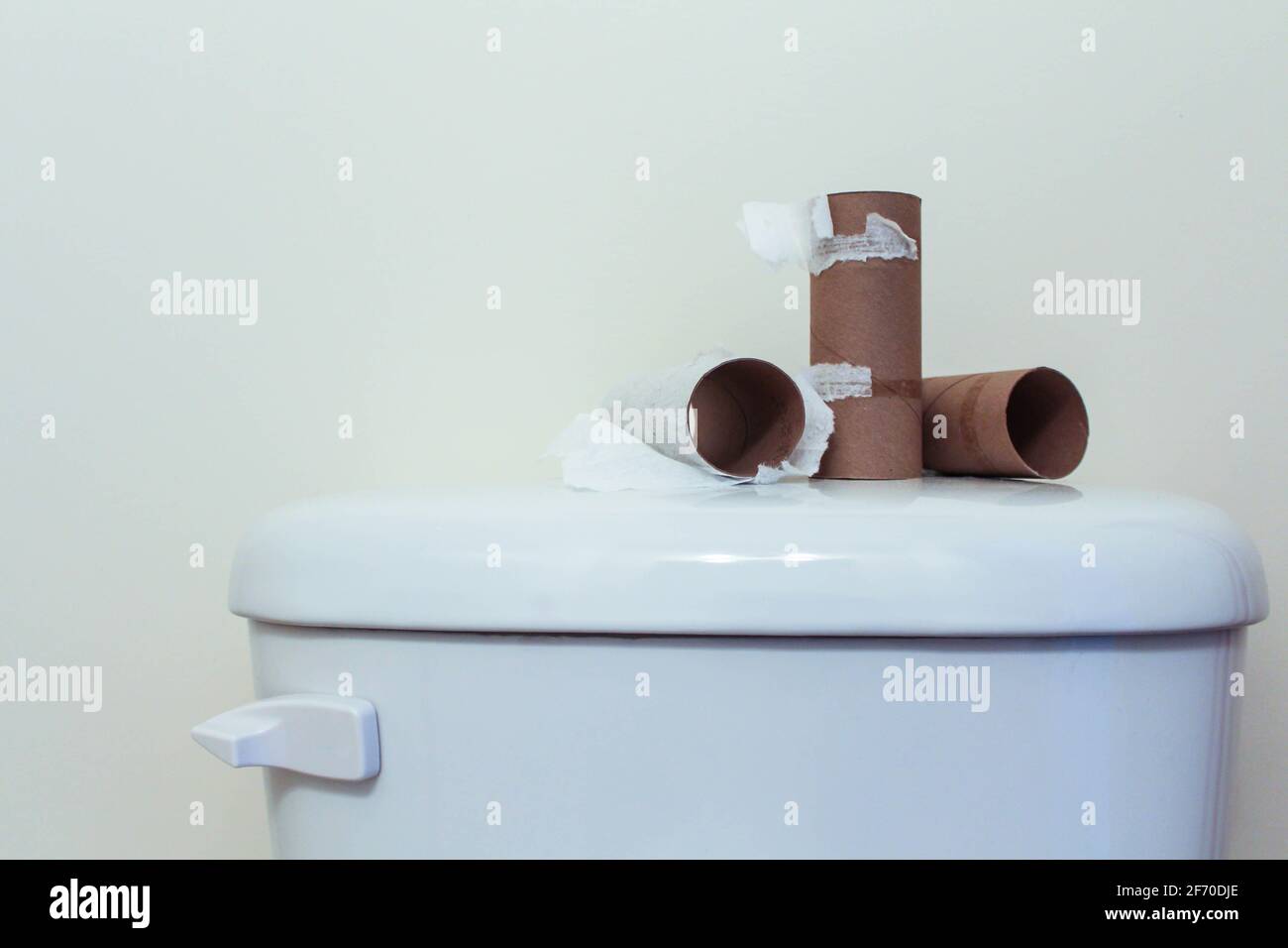 Center of a toilet paper rolls without paper on a white background with ...