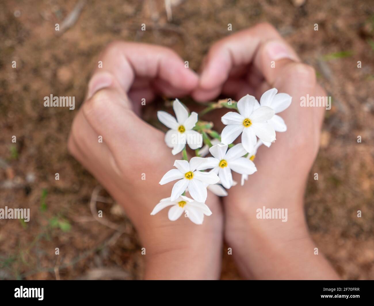 Hands making heart shape hi-res stock photography and images - Alamy