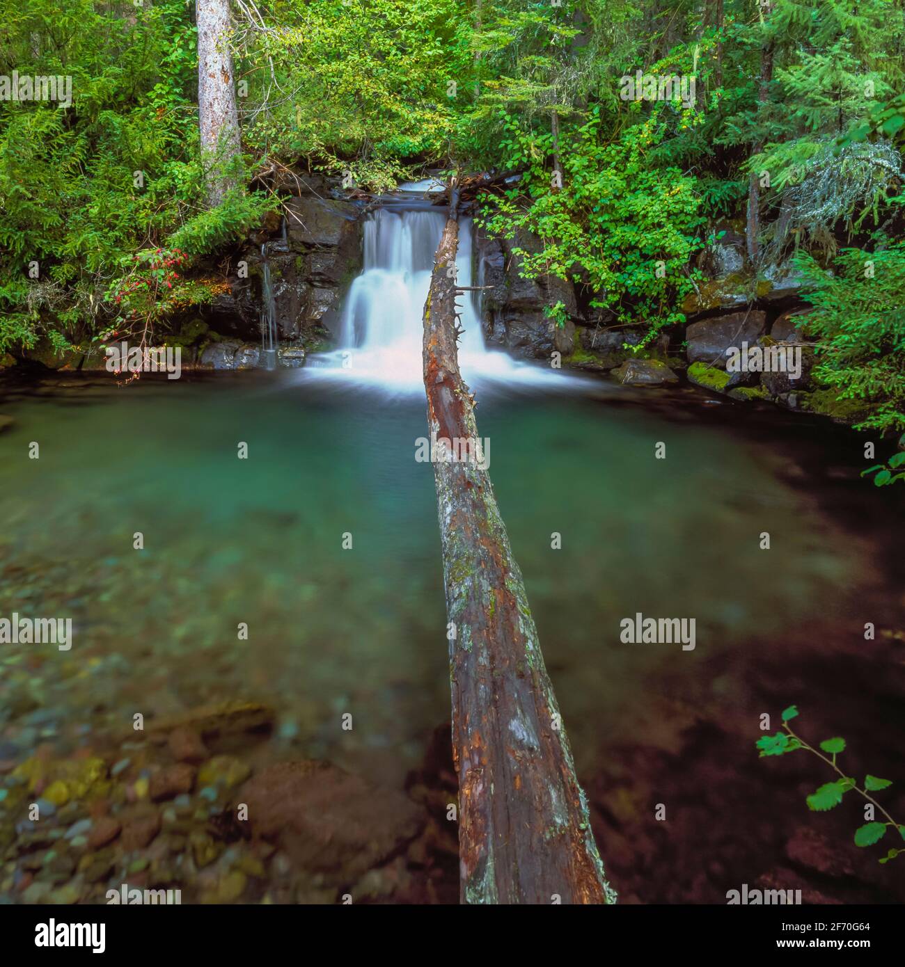 log bridge over a pool and waterfall on holland creek near condon ...