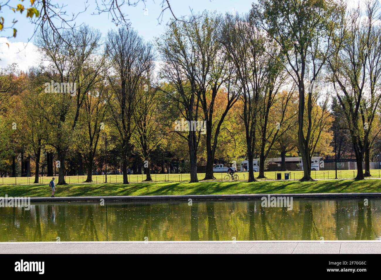 recreational park in washington dc with tall trees in the fall Stock ...