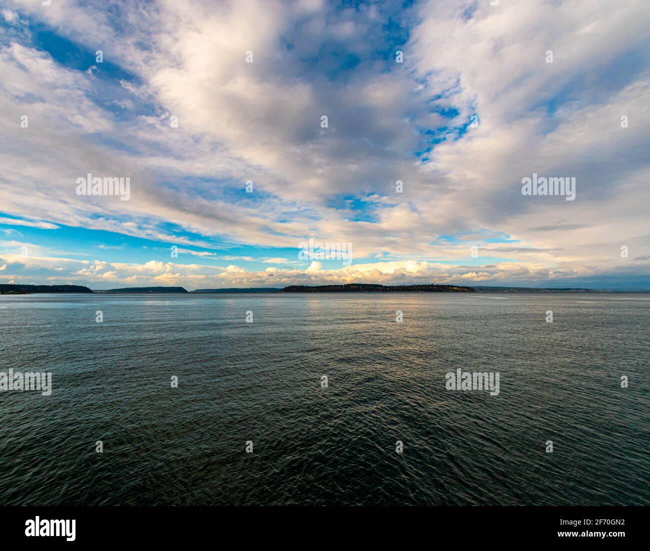 Wide angle wildlife photography hi-res stock photography and images - Alamy