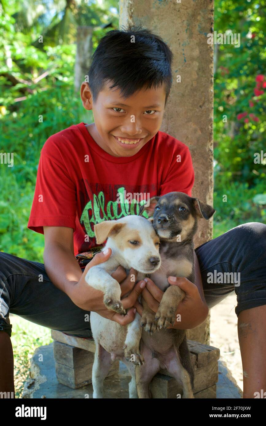 Person with dogs hi-res stock photography and images - Alamy
