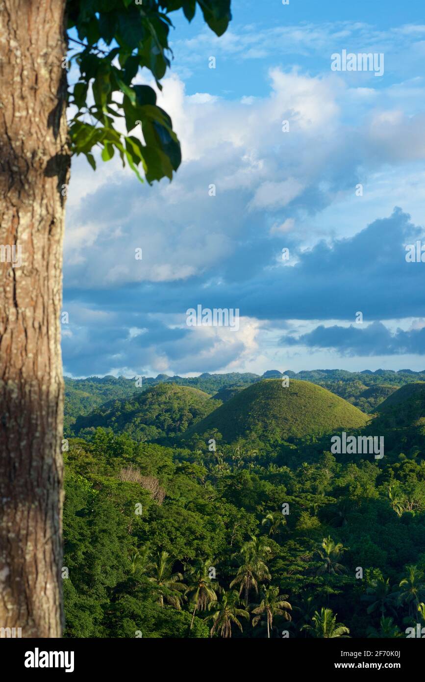 Burol hi-res stock photography and images - Alamy