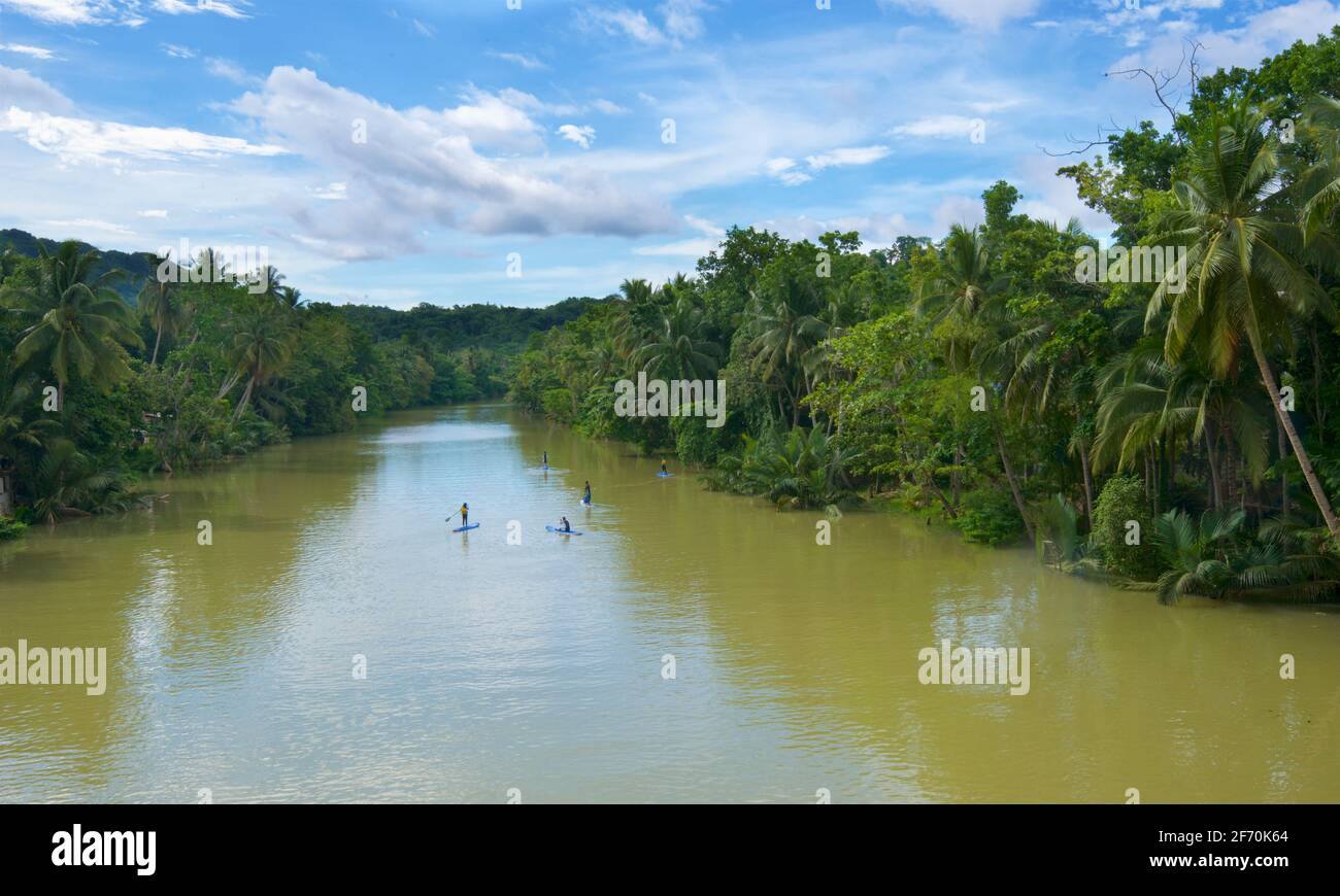 Small group paddleboarding on the Loboc River, Bohol, Central Visayas ...