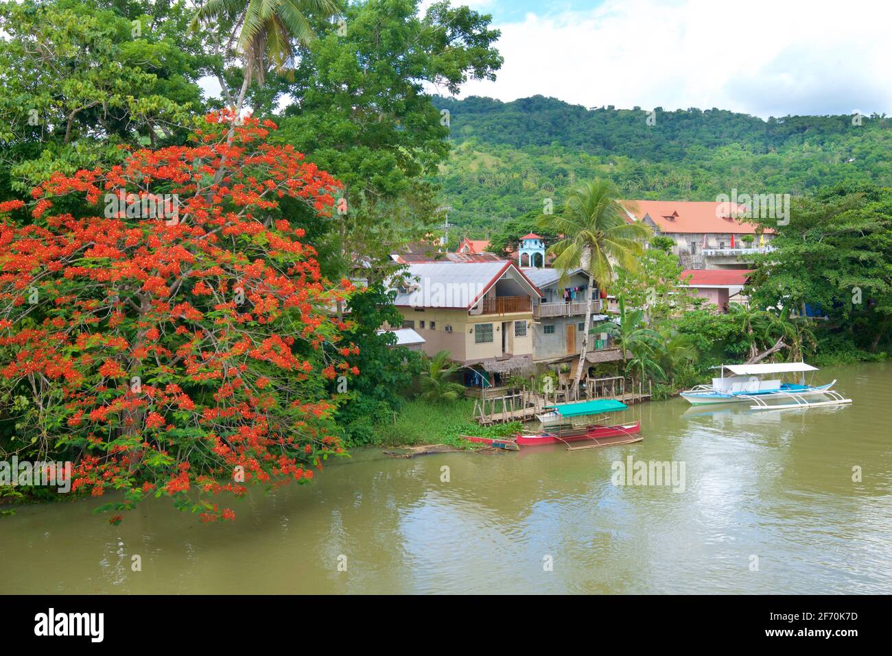 Riverbank residence and boats on the Loboc River, Loboc, Bohol, Central ...