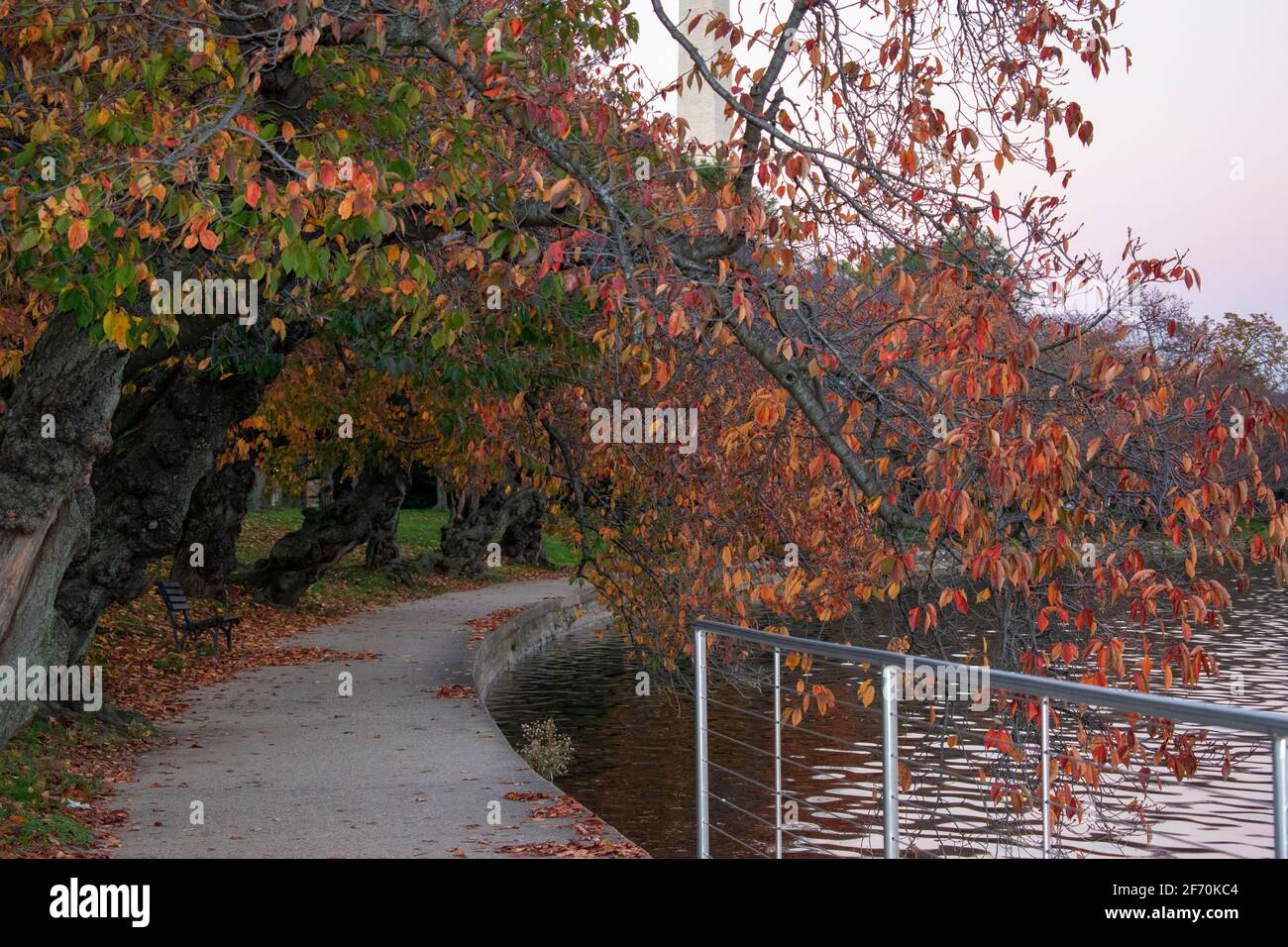 path at the park with autumn trees and branches falling into the lake ...