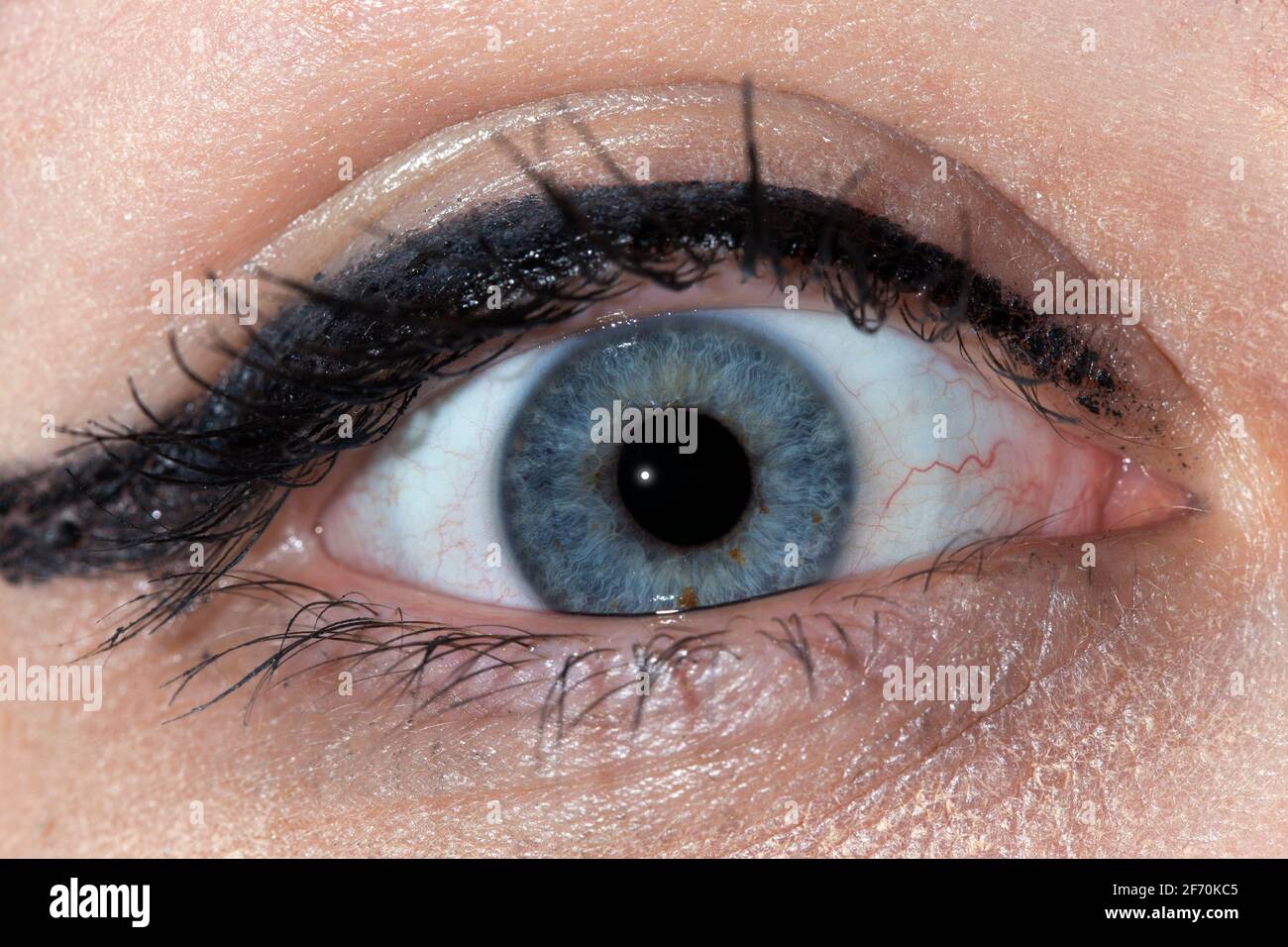 Detail of a human eye, visible iris, woman, flash Stock Photo - Alamy