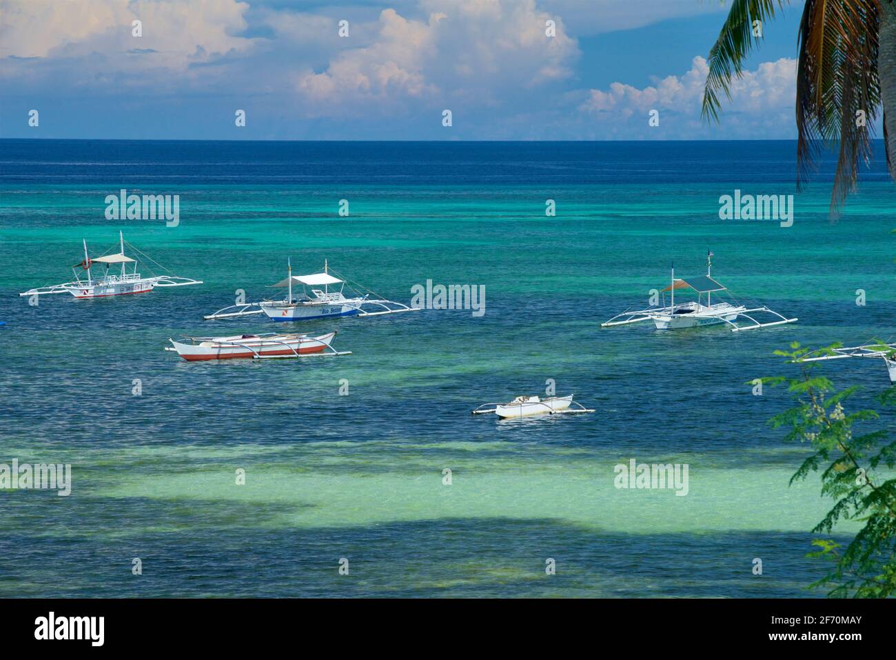 A fleet of outrigger canoes anchored off Doljo beach, Panglao Island ...