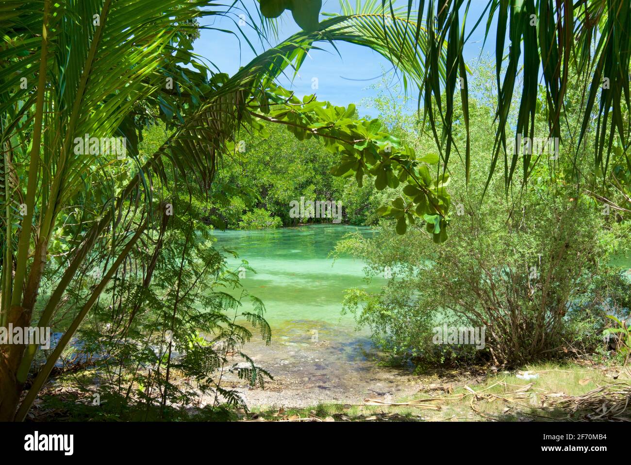 Sandy tropical beach near Doljo beach; turquoise blue waters, Paglao ...