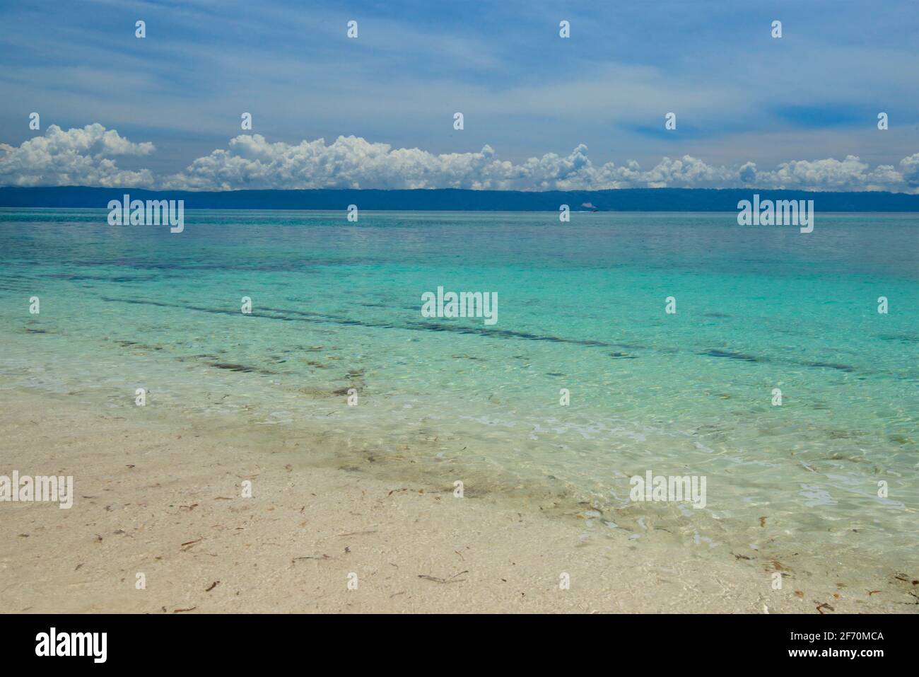 Sandy tropical beach near Doljo beach; turquoise blue waters, Paglao ...