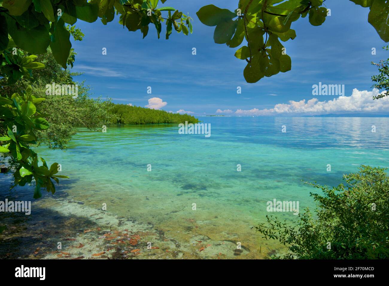 Sandy tropical beach near Doljo beach; turquoise blue waters, Paglao ...
