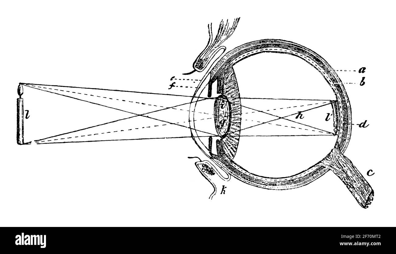 Ray Of Light A Path Through The Eye Refraction In The Eye