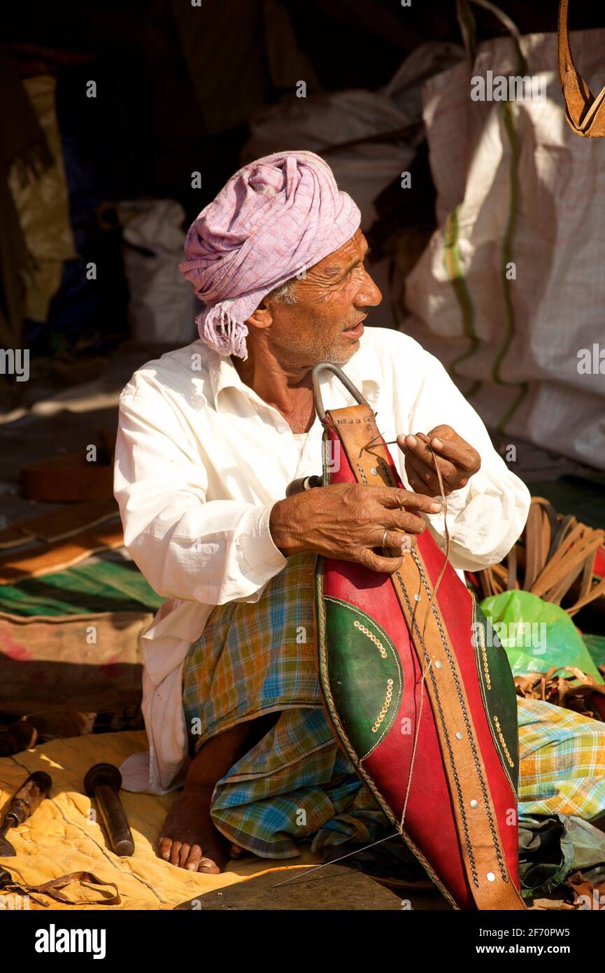 Indian leatherworker. Artisan saddle maker. Pushkar, Rajasthan, India ...