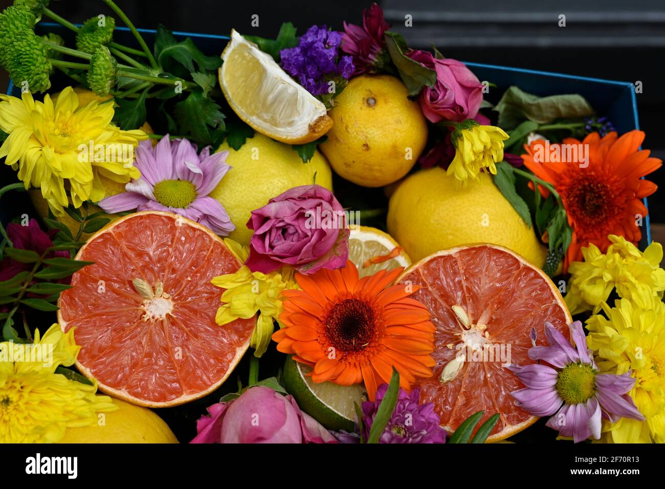 Flowers, plants and trees UK Stock Photo - Alamy