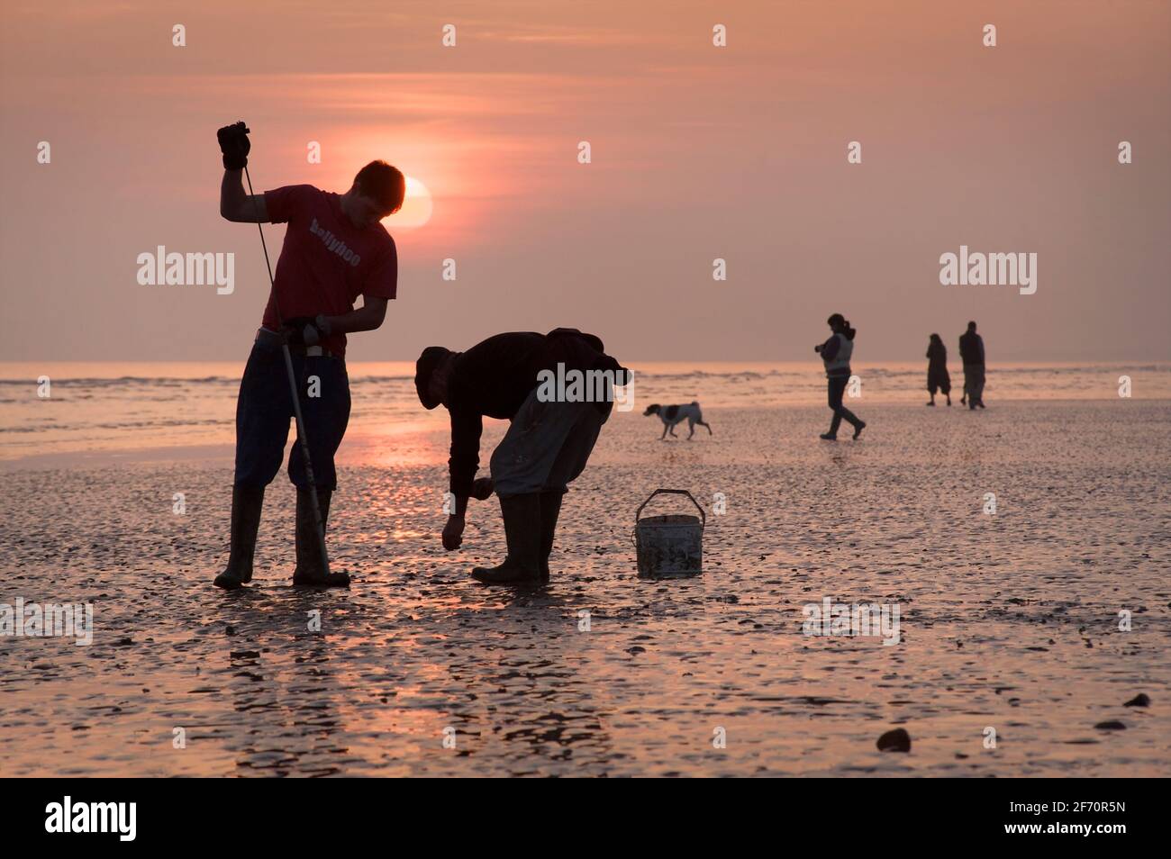 Bait digging beach hi-res stock photography and images - Alamy
