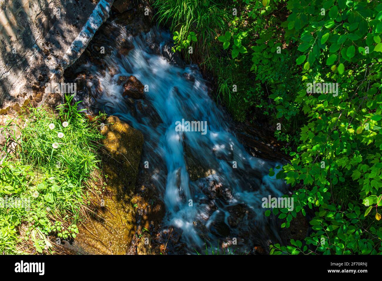 Elliot Falls Conservation Area Kawartha Lakes Ontario Canada Stock ...
