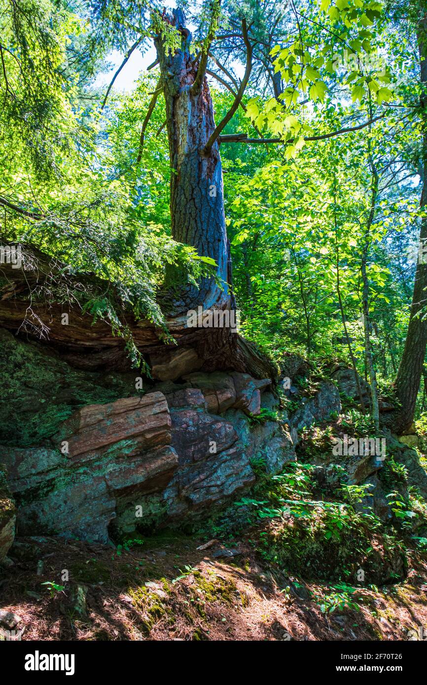 Elliot Falls Conservation Area Kawartha Lakes Ontario Canada Stock ...
