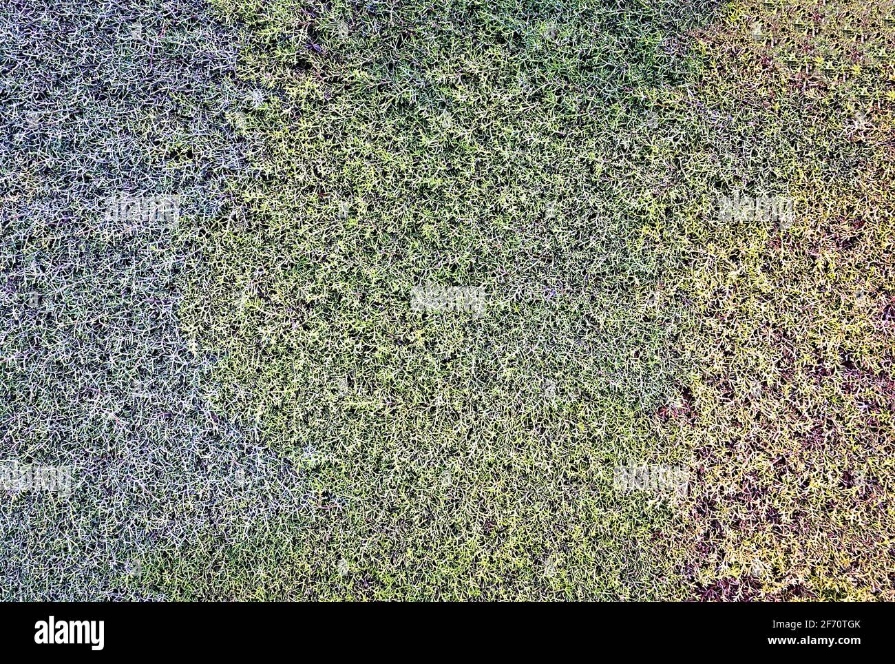 Natural gardening hi-res stock photography and images - Alamy