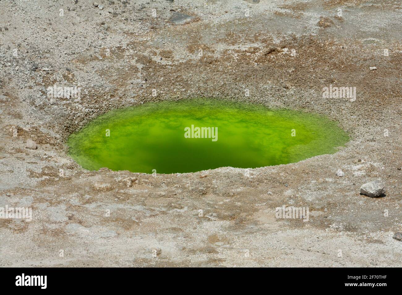 With thousands of features many are like this Unnamed Spring, seen at ...