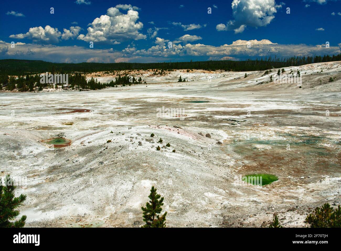 With hundreds of features in Norris Geyser Basin, northeast of Swiss ...