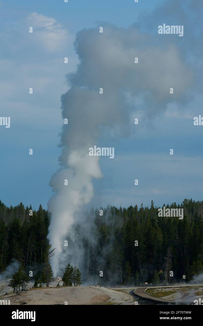 Can treat feet hi-res stock photography and images - Alamy