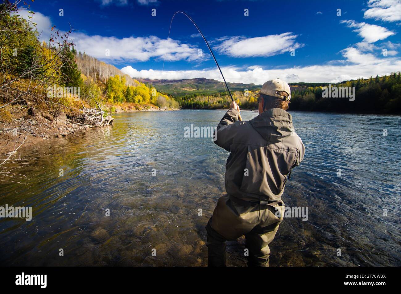 Salmon being caught on rod hi-res stock photography and images - Alamy