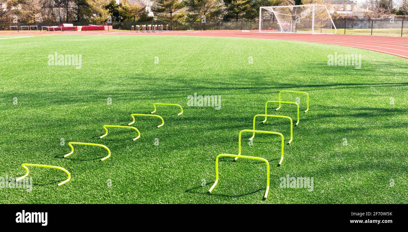 Two sizes of yellow mini banana hurdles set up on a green turf field for speed and agility ...