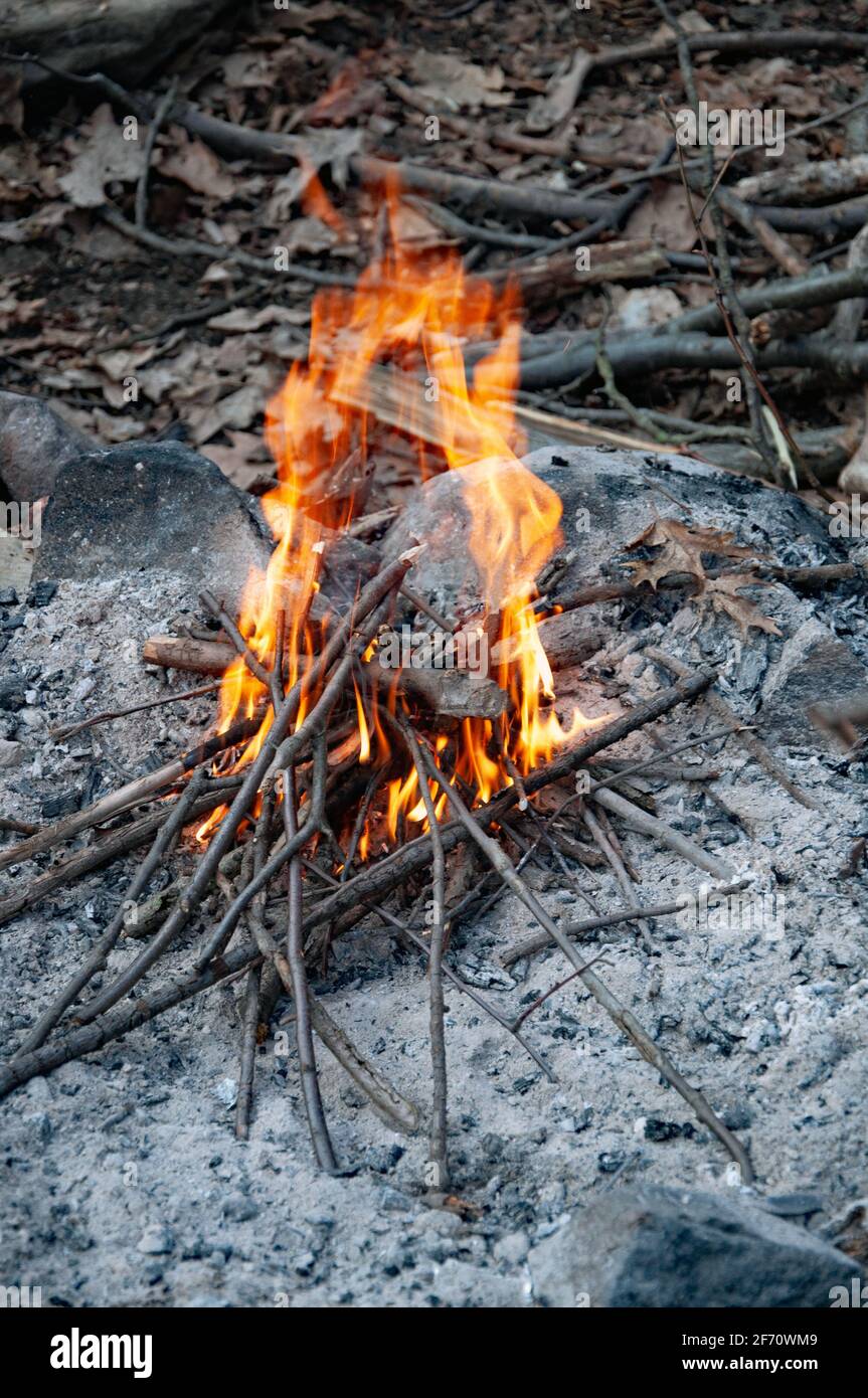A campfire beginning to burn Stock Photo - Alamy
