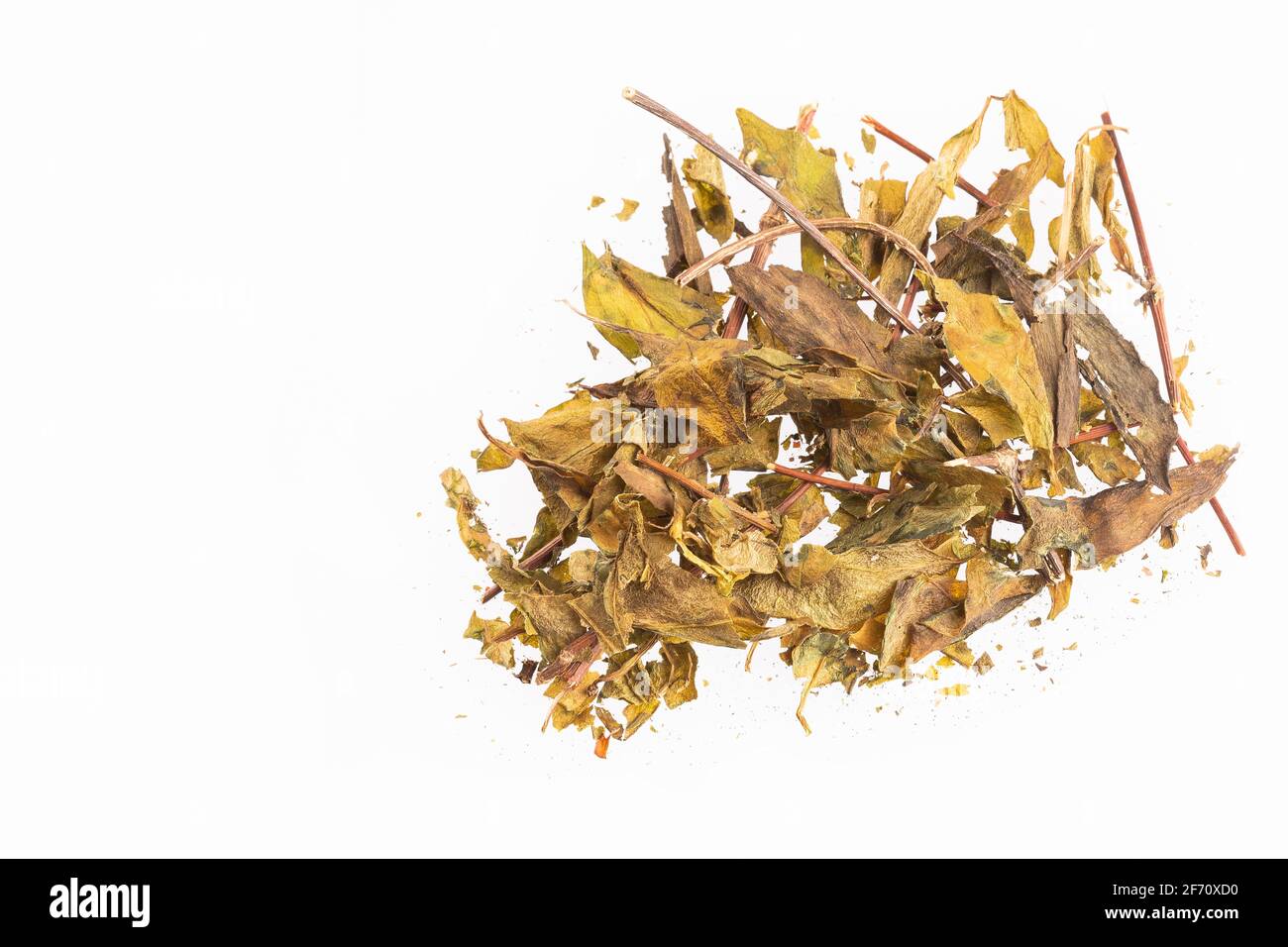 Dry leaves of valerian - Valeriana officinalis. White background Stock ...